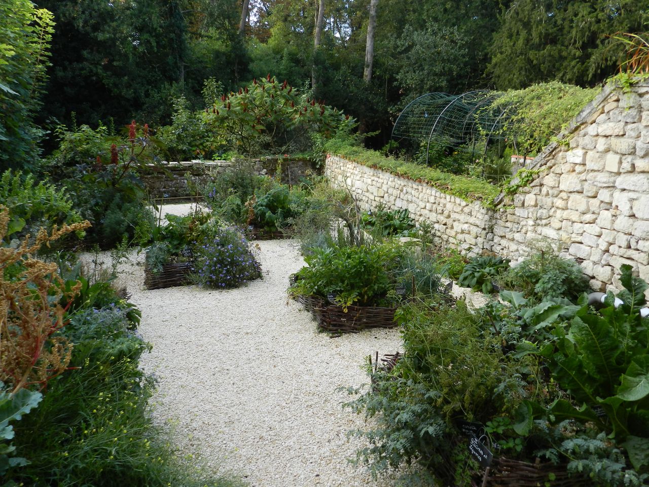 Visite du jardin médiéval de Jonzac - Jonzac Haute Saintonge Tourisme