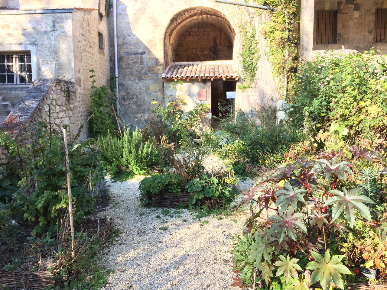 Visite du jardin médiéval de Jonzac - Jonzac Haute Saintonge Tourisme