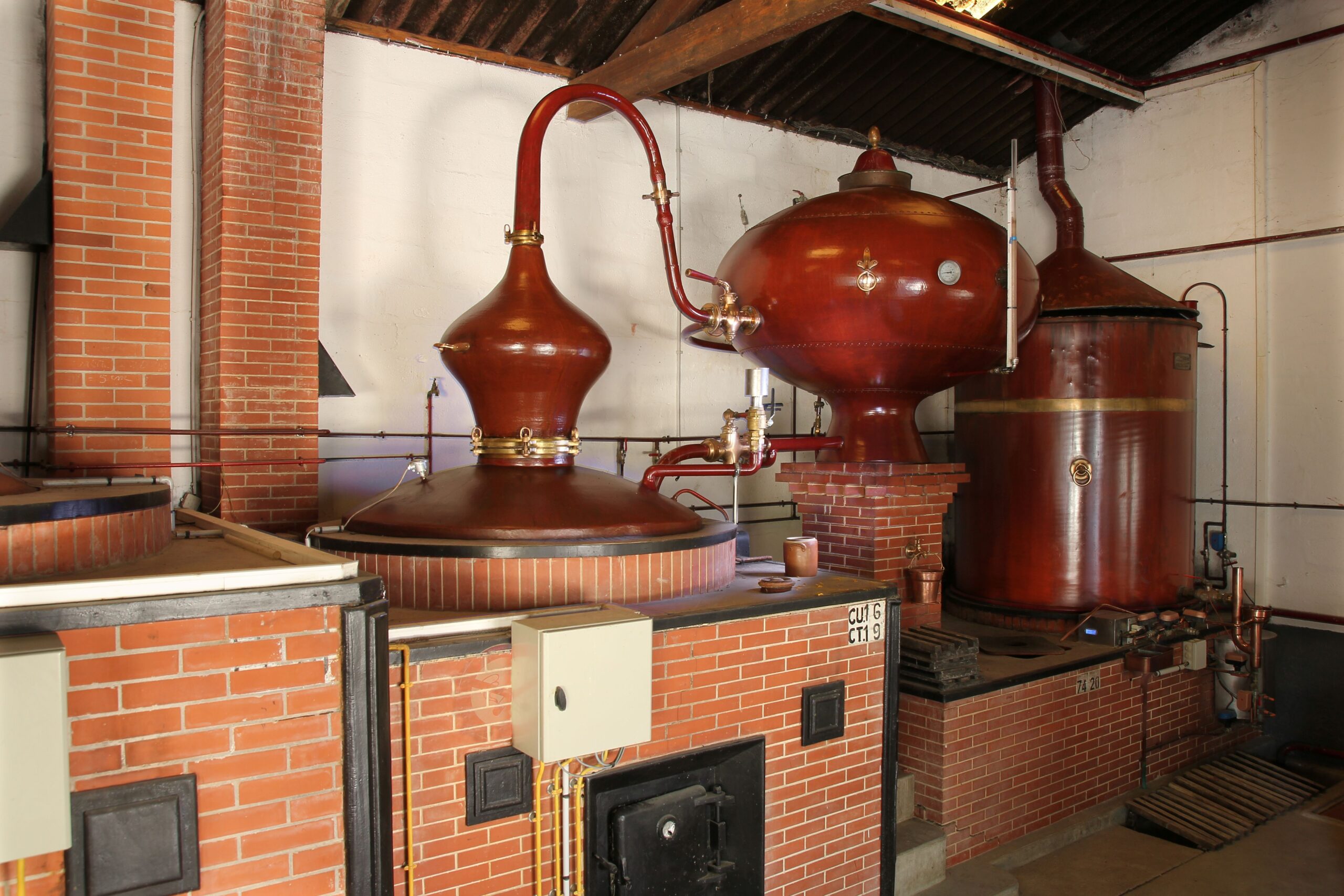 La Masterclass Cognac du Domaine Raymond Bossis - Saint-Bonnet-sur-Gironde